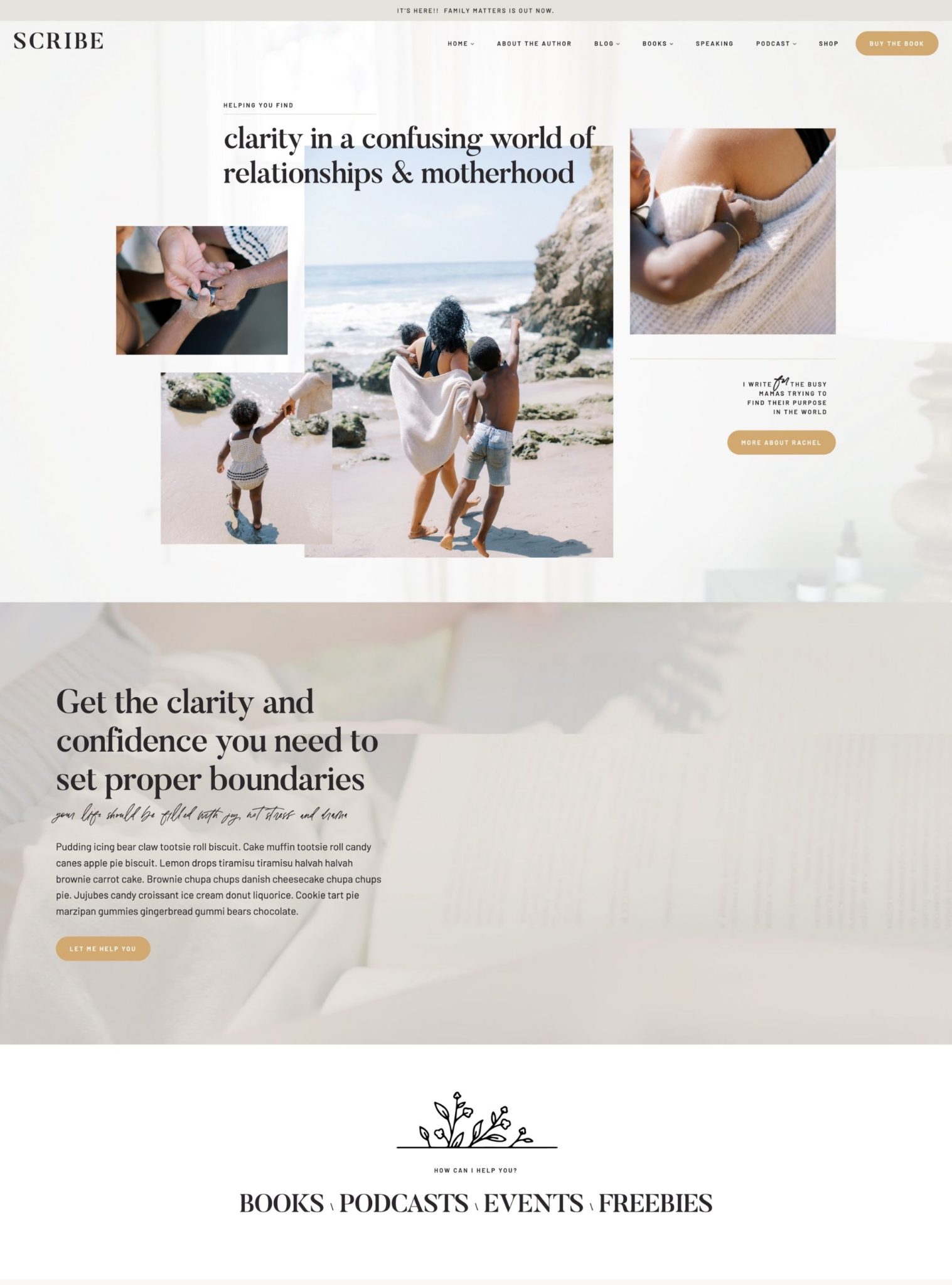 Affordable & Customizable Feminine WordPress Themes - Restored 316